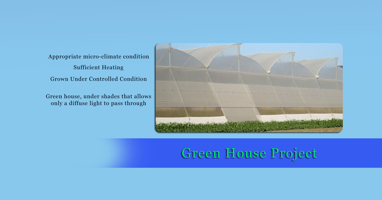Home :: Agro Shade Nets :: manufacturer of agricultural shade net ...
